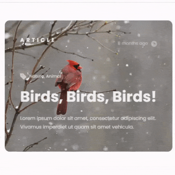 Build a Professional Article Details Page from Scratch with HTML, CSS ...